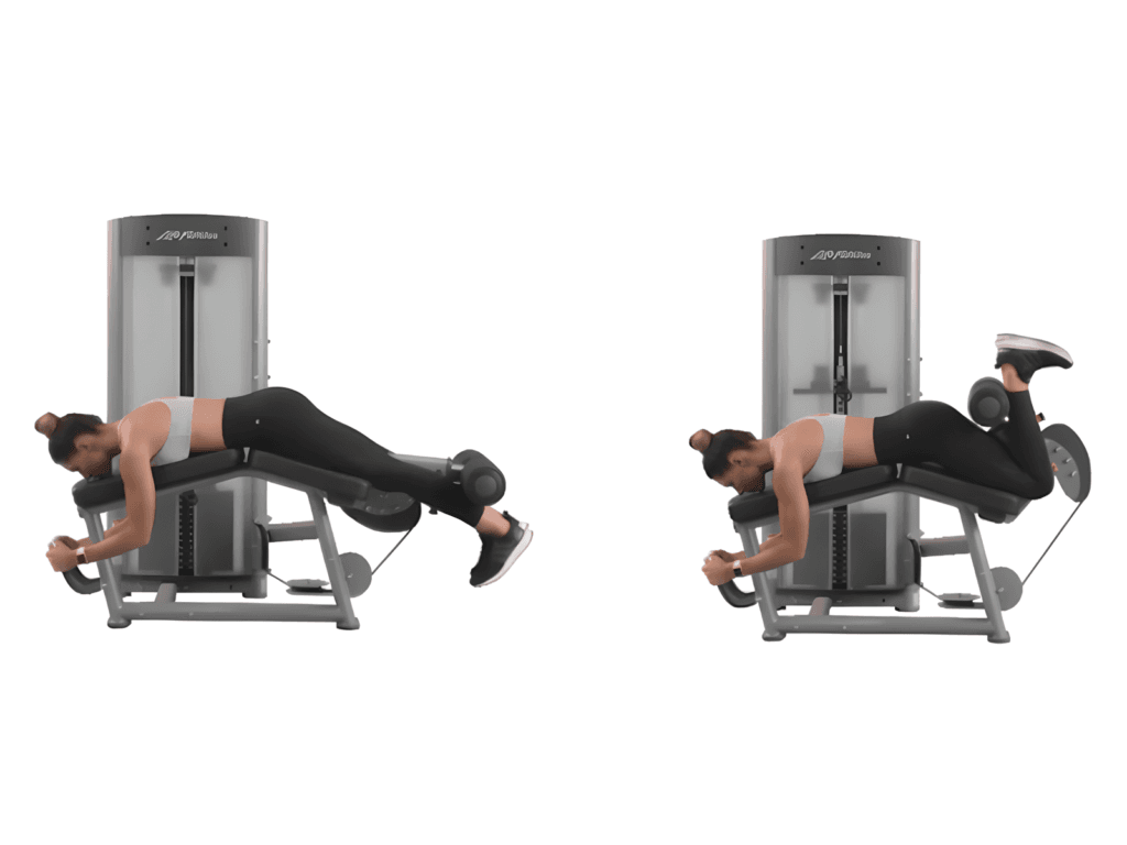 Leg Exercises – Digital Welcome Kit