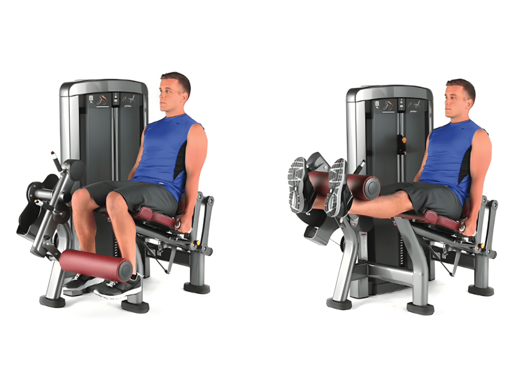 Leg Exercises – Digital Welcome Kit